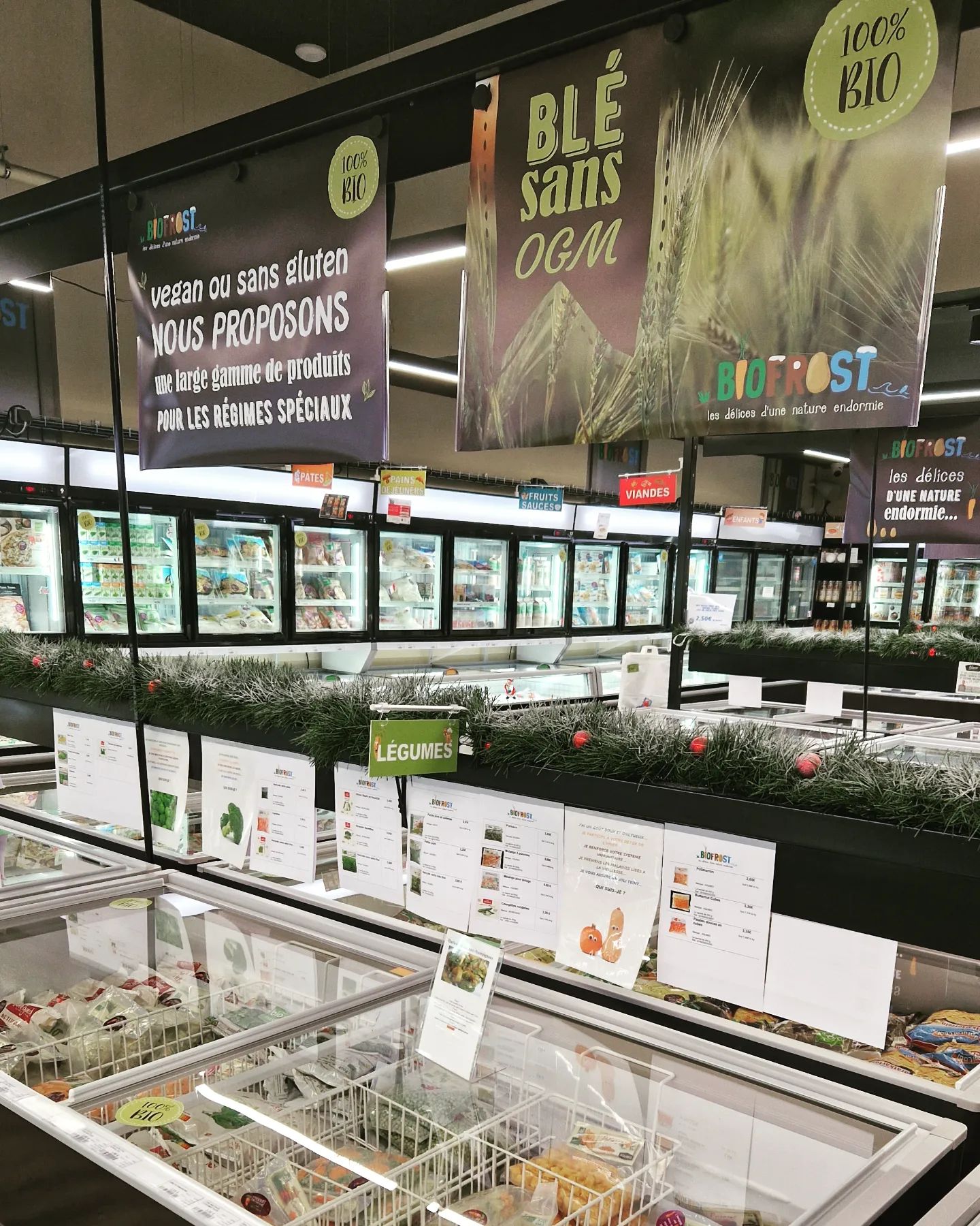 Biofrost, surgelés bio à Aix - Caroline GENEROSI