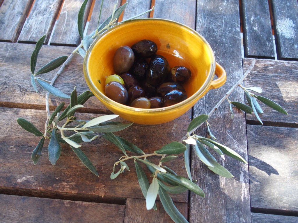 La tradition provençale des olives vertes à la cendre - Caroline GENEROSI