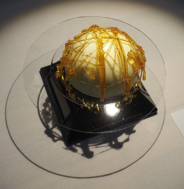 Un magnifique délice poire-caramel - Caroline GENEROSI